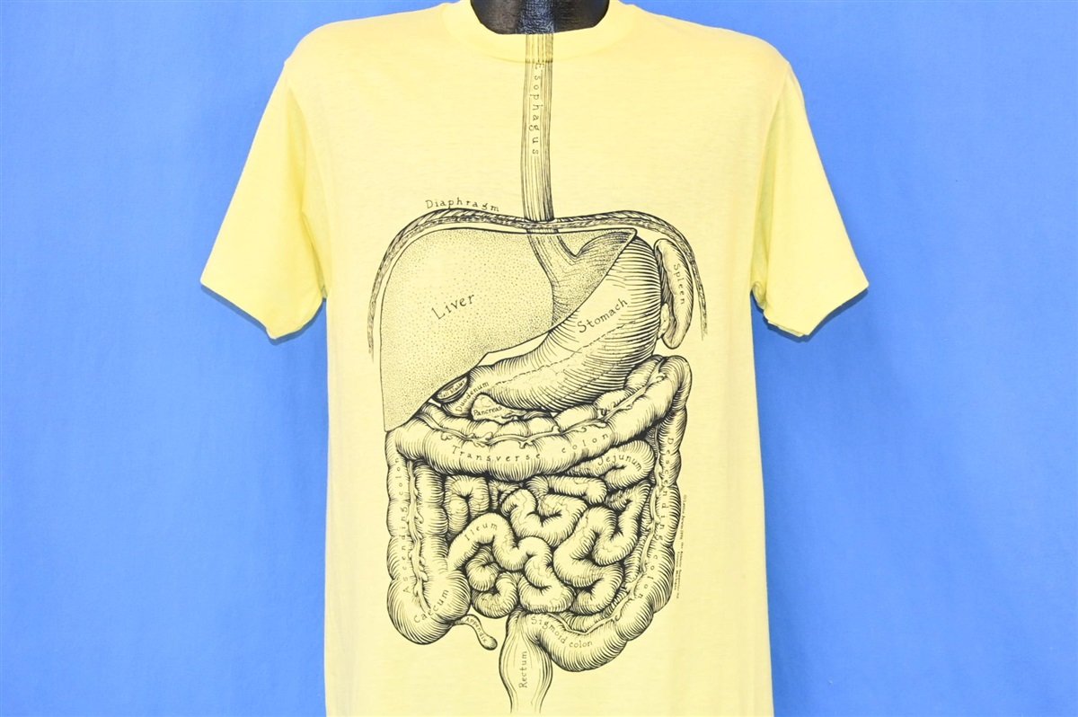 80s Digestive System Leslie Arwin Skeletee Anatomy t-shirt Large – The ...